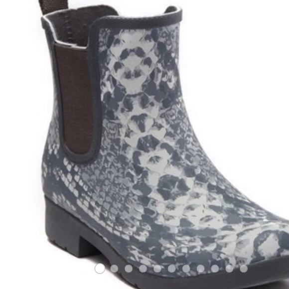 chooka | Shoes | New Chooka Snake Eastlake Chelsea Rain Boots | Poshmark